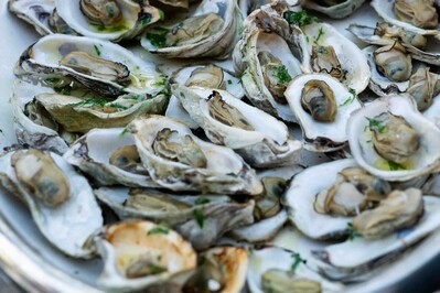 The Grey, Savannah - Restaurant menu, prices and reviews