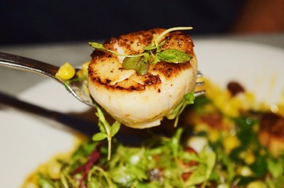 Neptune Oyster, Boston - Restaurant menu, prices and reviews