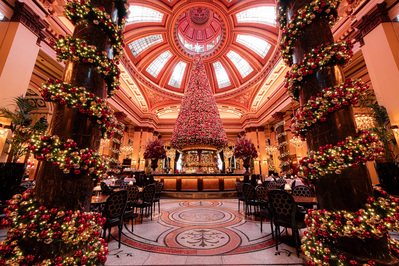 The Dome, Edinburgh - Restaurant menu, prices and reviews