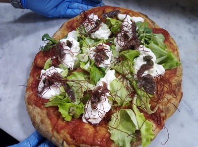 Pinsarò, Chiavari - Speisekarte, Preise und Bewertungen