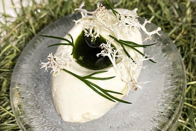 Dill Restaurant, Reykjavík - Restaurant menu, prices and reviews