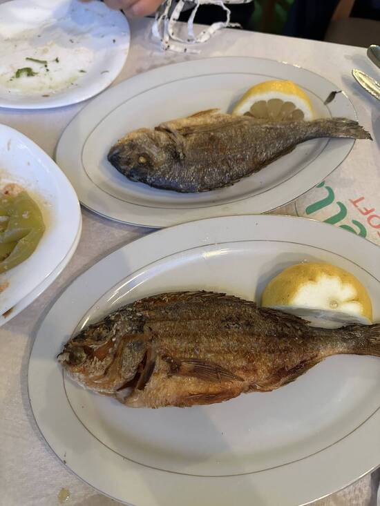 Te Rrapi në Qeparo (village), Qeparo - Restaurant menu, prices and reviews