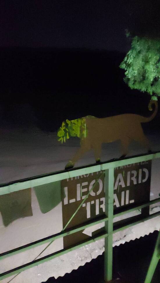 Throttle Shrottle- Leopard Trail - Restaurant menu, prices and reviews