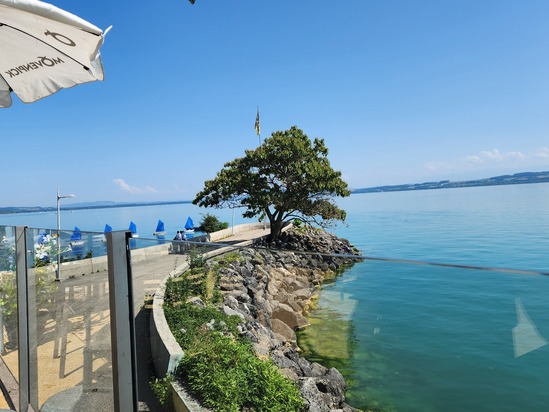 Vio, Neuchâtel - Menu du restaurant, prix et avis