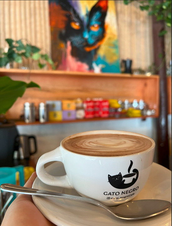 Gato Negro - Café, Restaurant, Wifi Starlink, Puerto Escondido - Menú ...