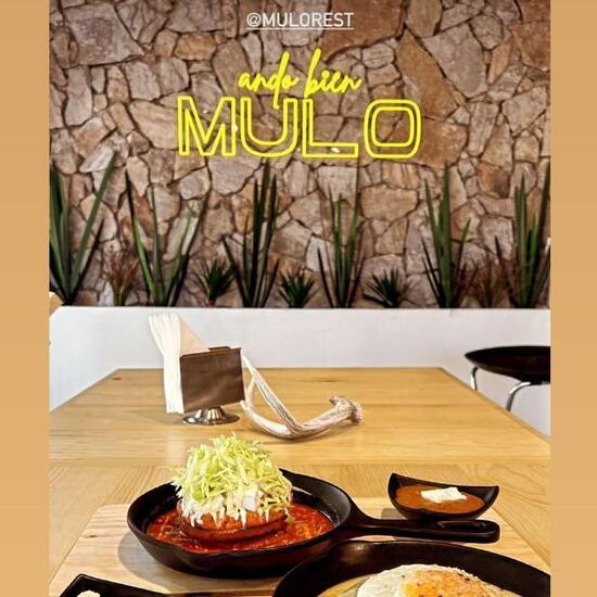 MULO, Hermosillo - Menú del restaurante, precios y reseñas