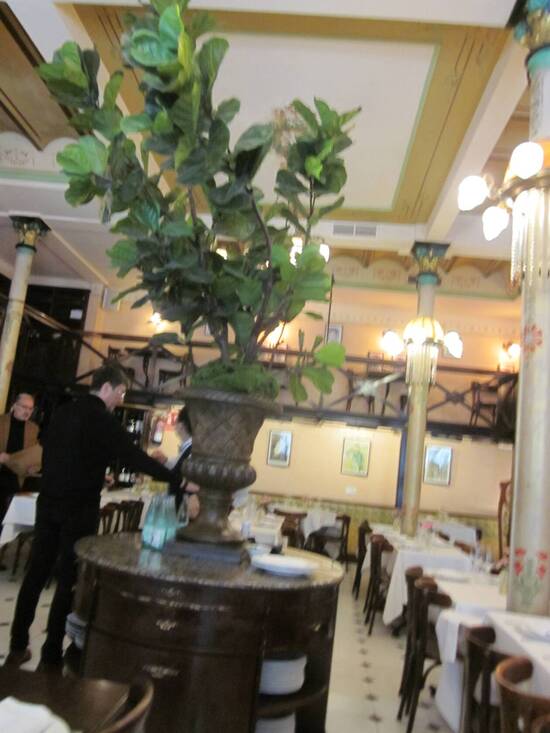Els 4 Gats, Barcelona - Restaurant menu, prices and reviews