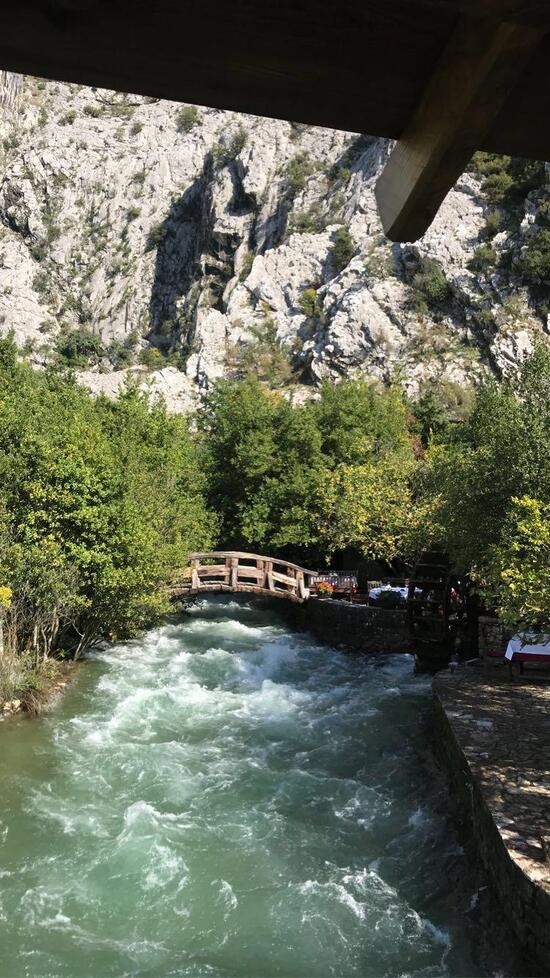 Stari Mlini, Dobrota - Restaurant menu, prices and reviews
