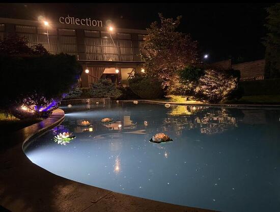 Collection, Prishtina - Restaurant menu, prices and reviews