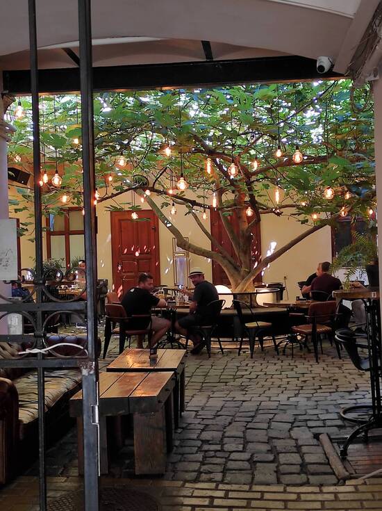 Drunken Rat, Timișoara - Restaurant menu, prices and reviews