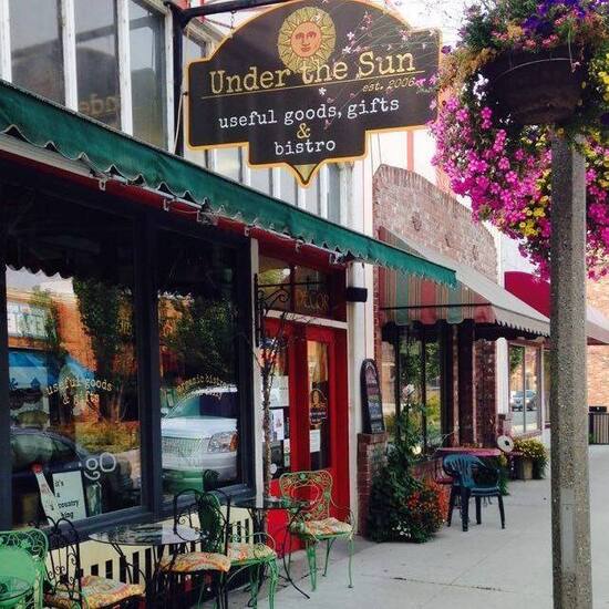 Menu at Under the Sun cafe, Bonners Ferry