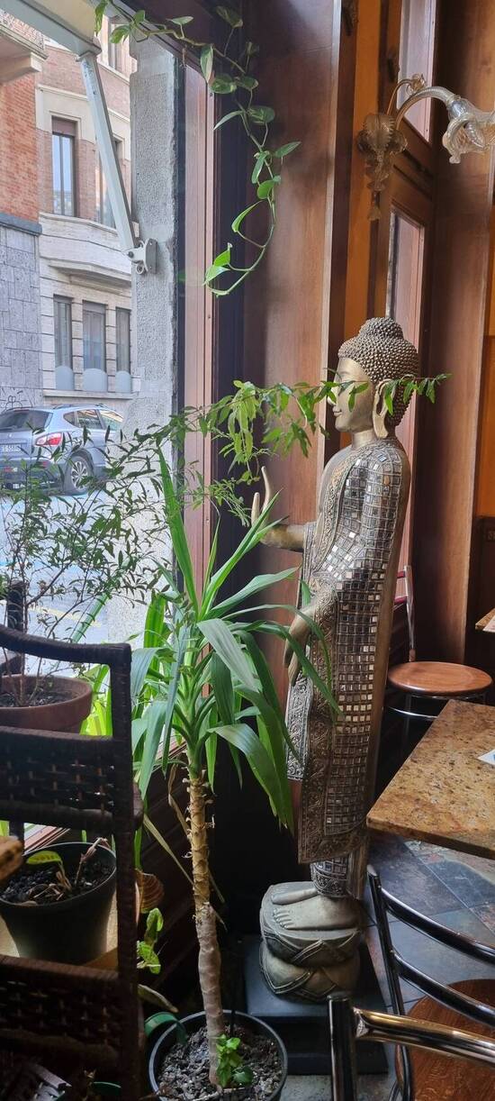 DHARMA CAFÈ, Turin - Menú del restaurante, precios y reseñas