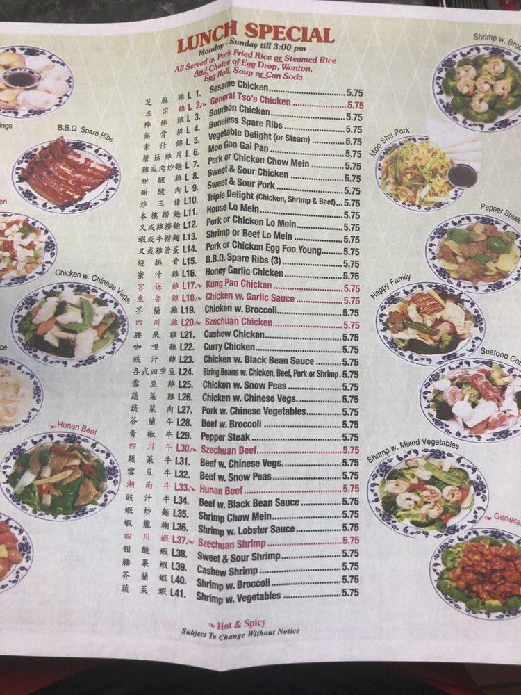 Menu at China Dragon restaurant, New Port Richey