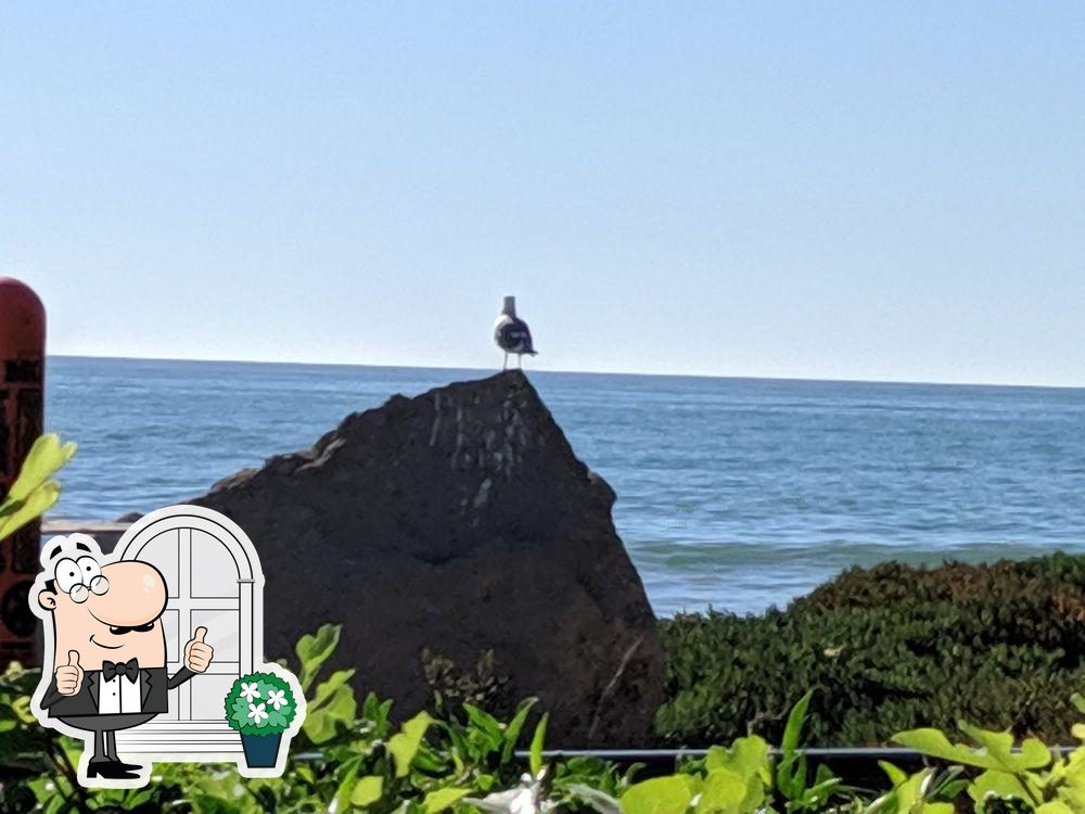 Padaro beach grill in Carpinteria - Restaurant menu and reviews