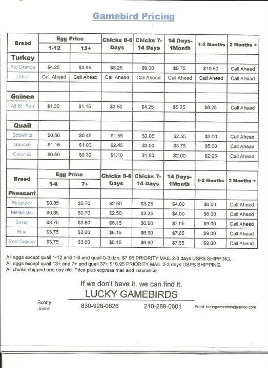 Menu at LUCKY GAMEBIRDS restaurant, Harper