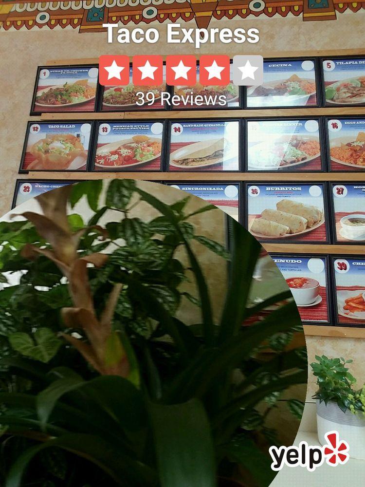 Menu at Taco Express restaurant, Westmont, Fairview Ave