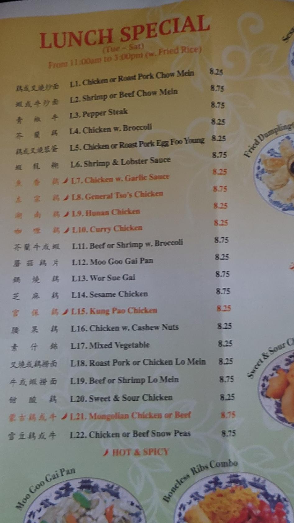 Menu at Dragon Village restaurant, Etna, Columbia Rd SW