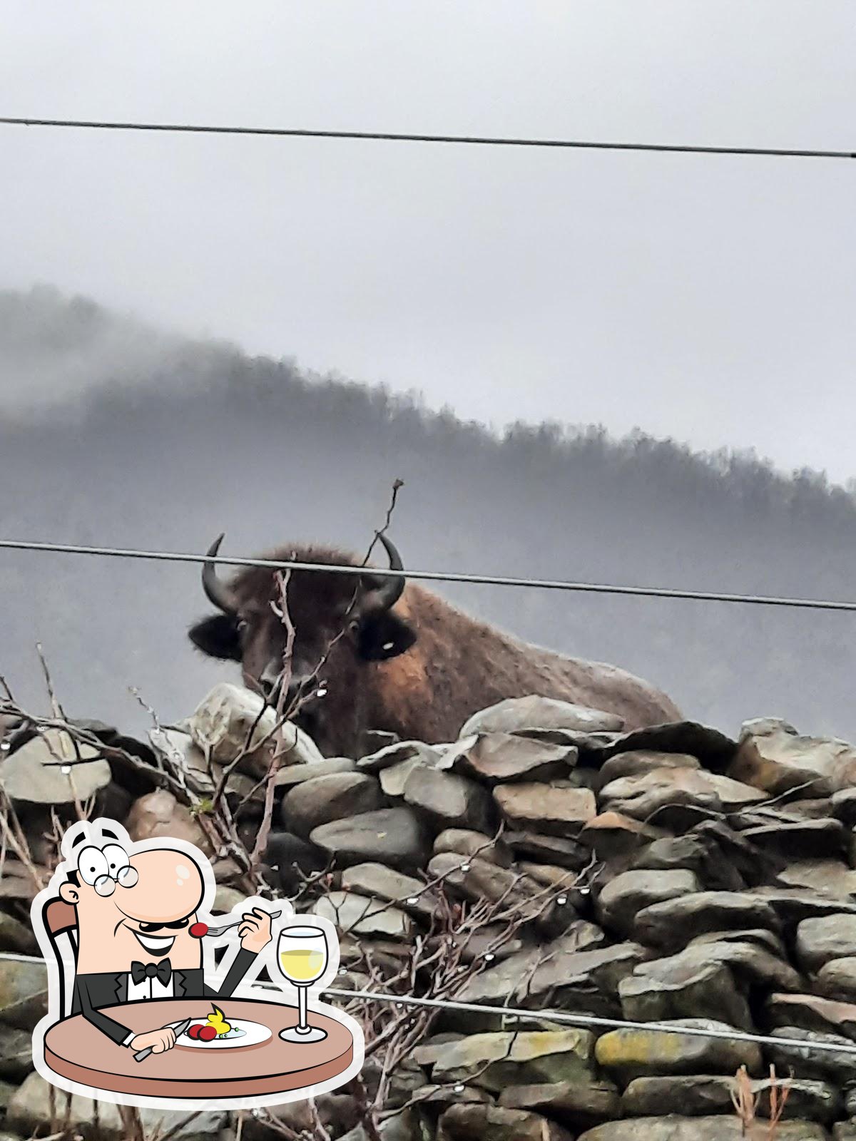 Mud Creek Bison Ranch, Savona - Restaurant menu, prices and reviews