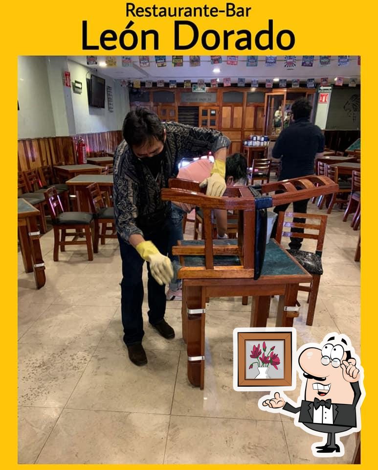 Pub y bar El León Dorado, Ciudad de México, Desierto de los Leones ...