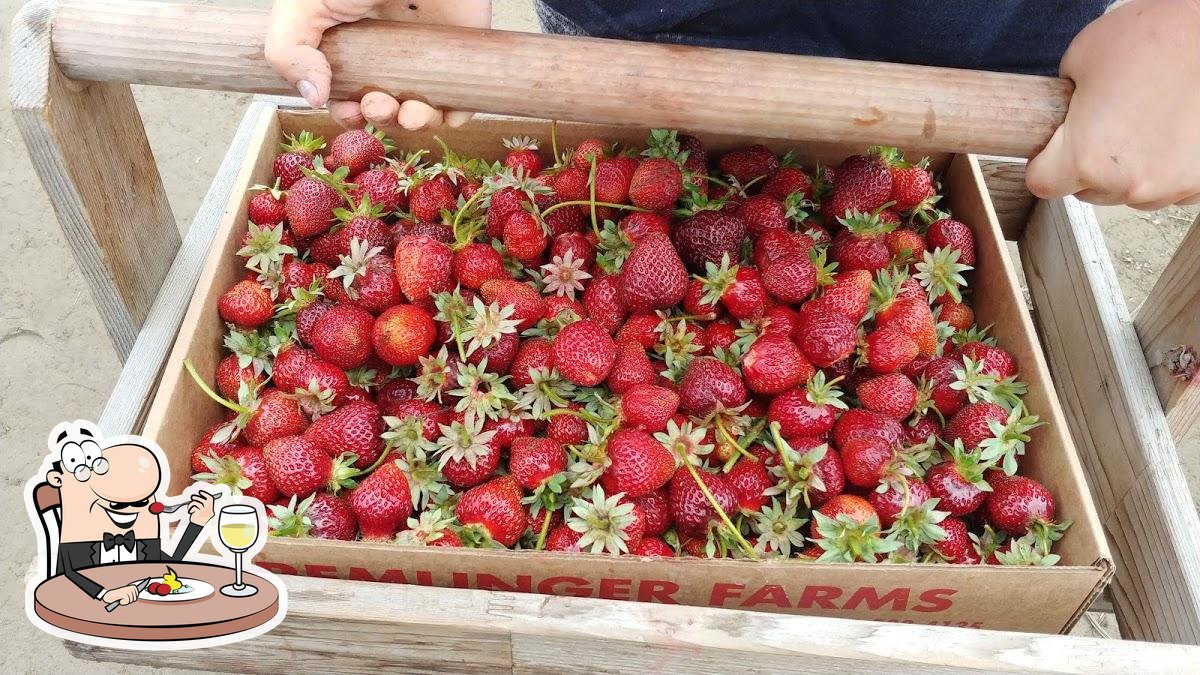 Remlinger Farms Restaurant in Carnation - Restaurant reviews