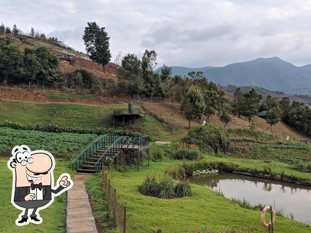 Destiny - The Farm Resort, India - Restaurant reviews