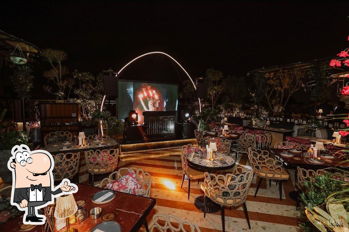 Molecule Gwalior, Gwalior - Restaurant menu, prices and reviews