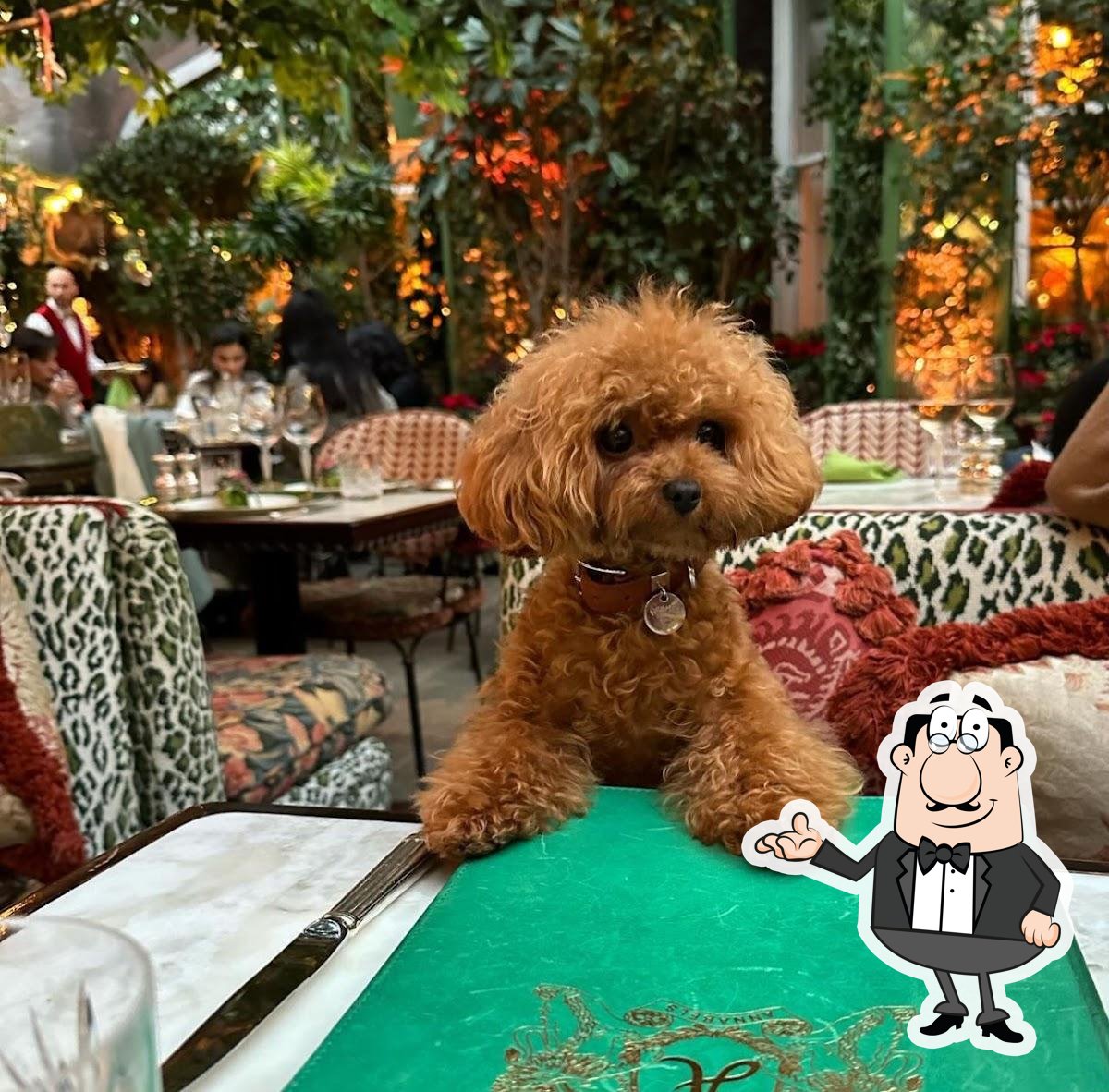 Annabel's, London, Green Park - Restaurant menu, prices and reviews