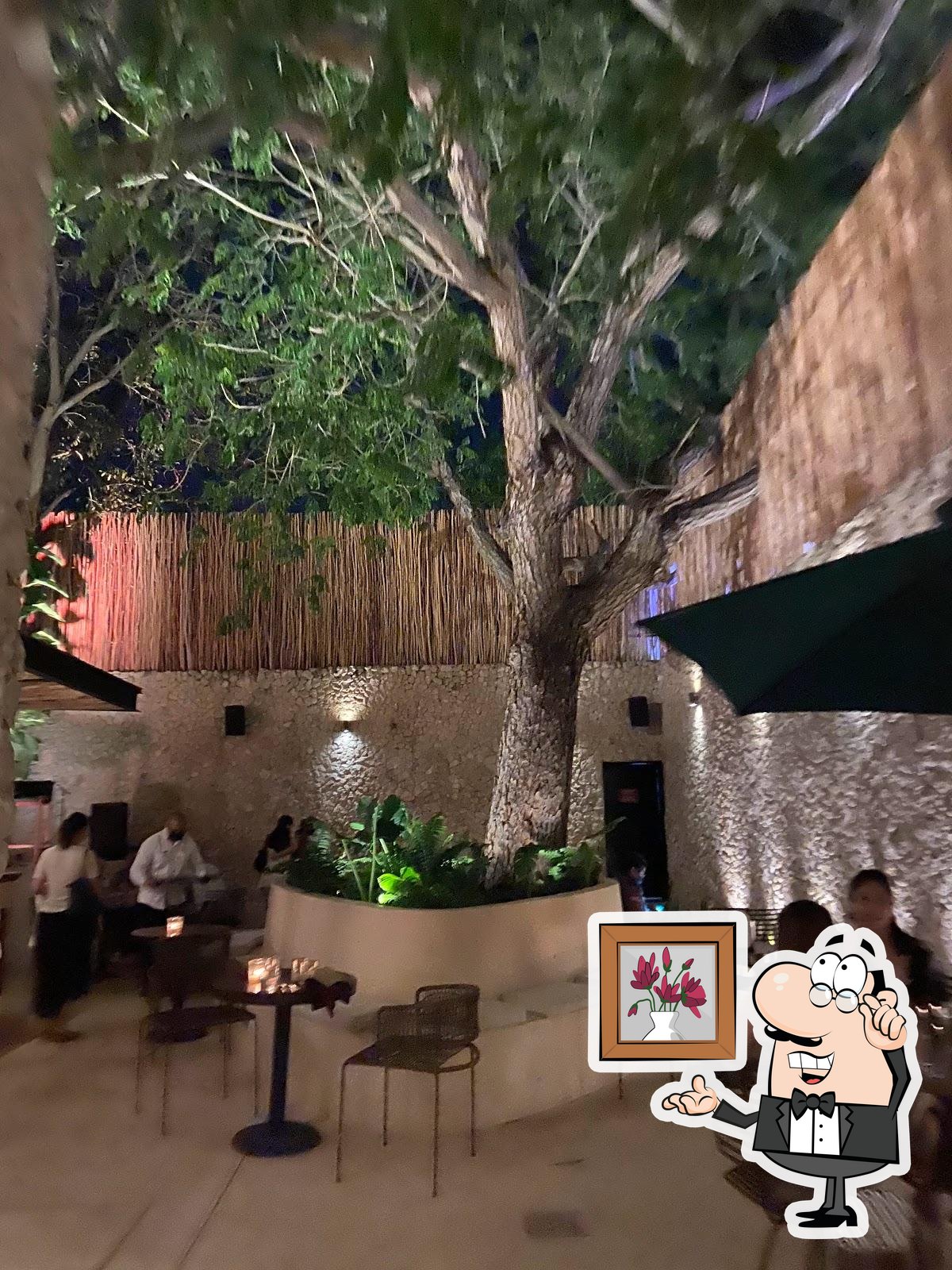Restaurante Teya Santa Lucía, Merida - Carta del restaurante y opiniones