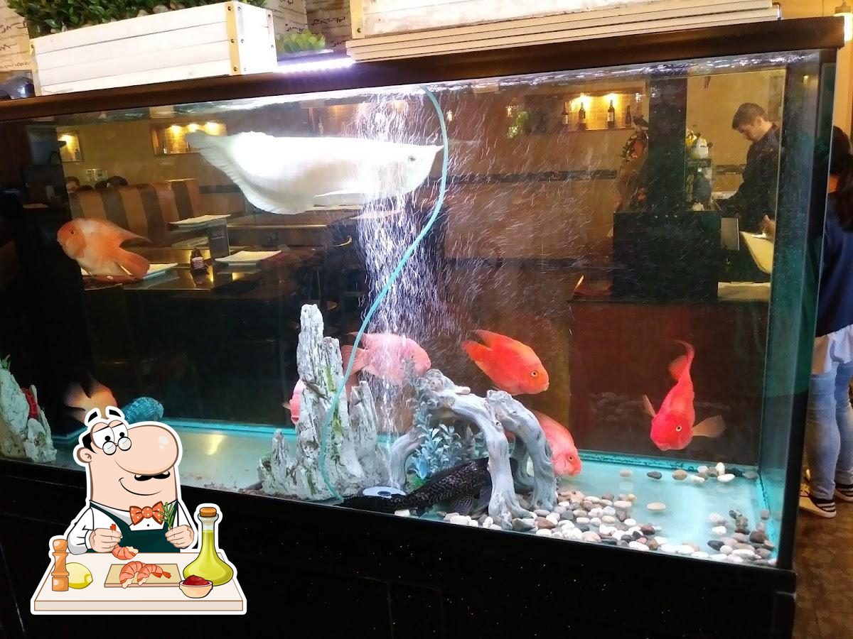 Gozen Japanese Restaurant, Visalia - Restaurant menu, prices and reviews