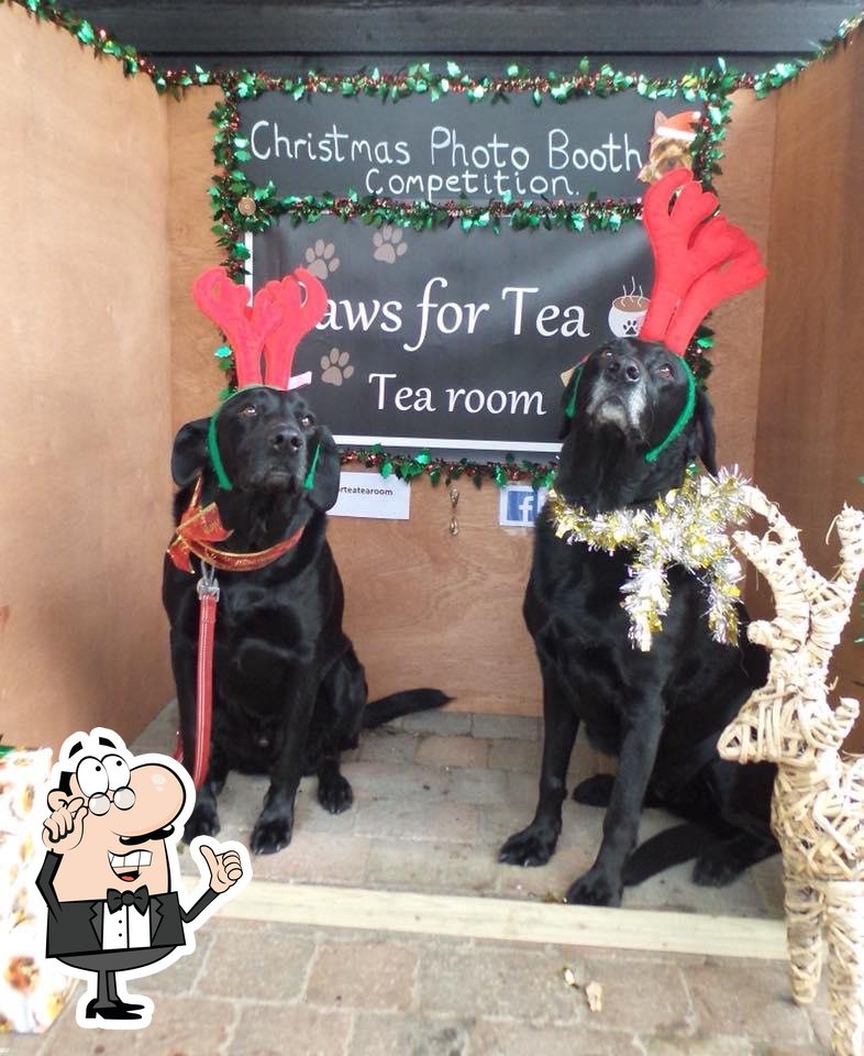 Paws for tea tearoom beccles restaurant menu and review - Restaurant Guru