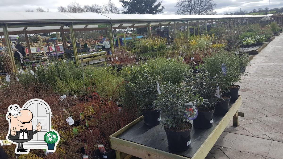 Bridgemere garden centre restaurant menu - Restaurant Guru