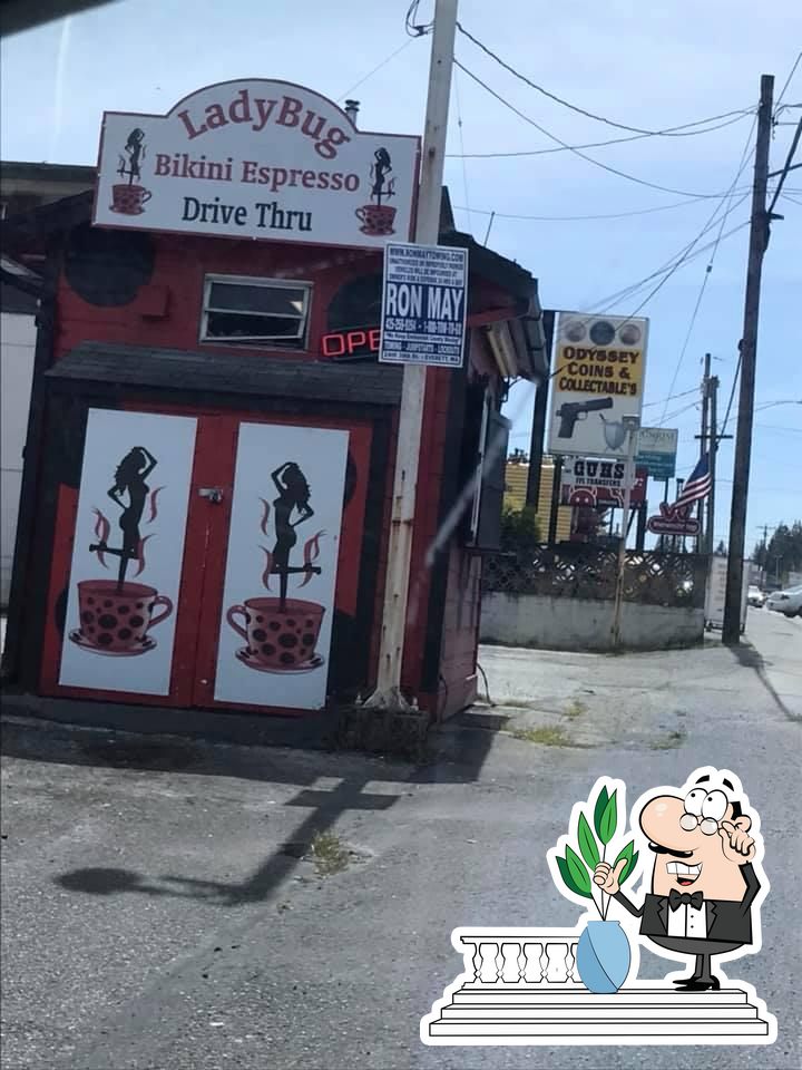 Lady Bug Bikini Barista, 9525 14th Ave sw in Seattle - Restaurant reviews