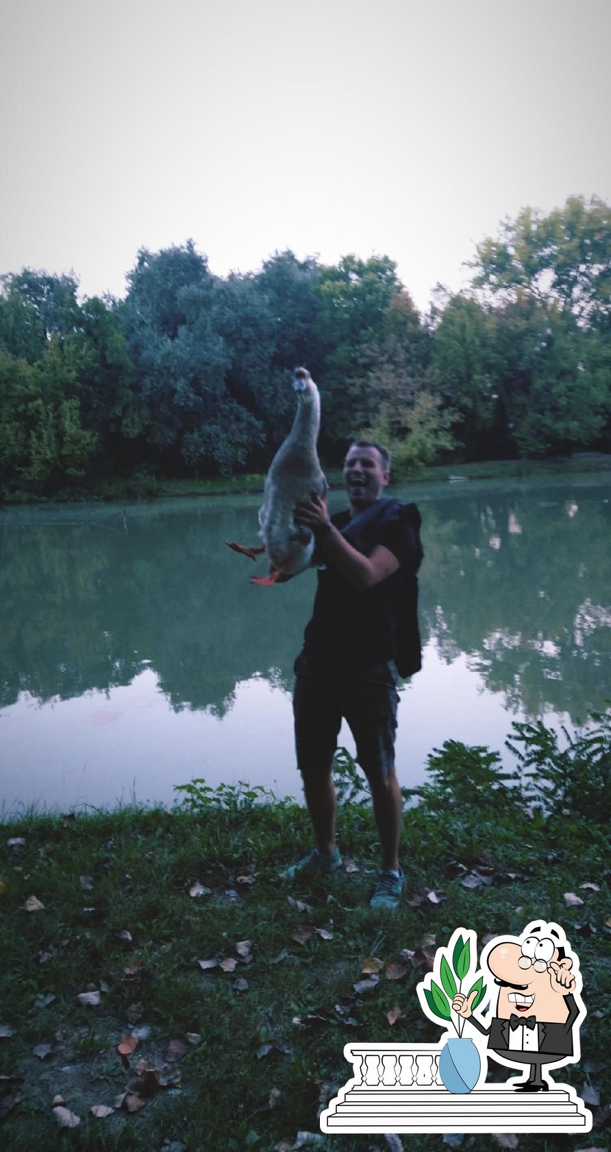 Pizza Poncho Požeška 67a, Belgrade - Restaurant menu, prices and reviews