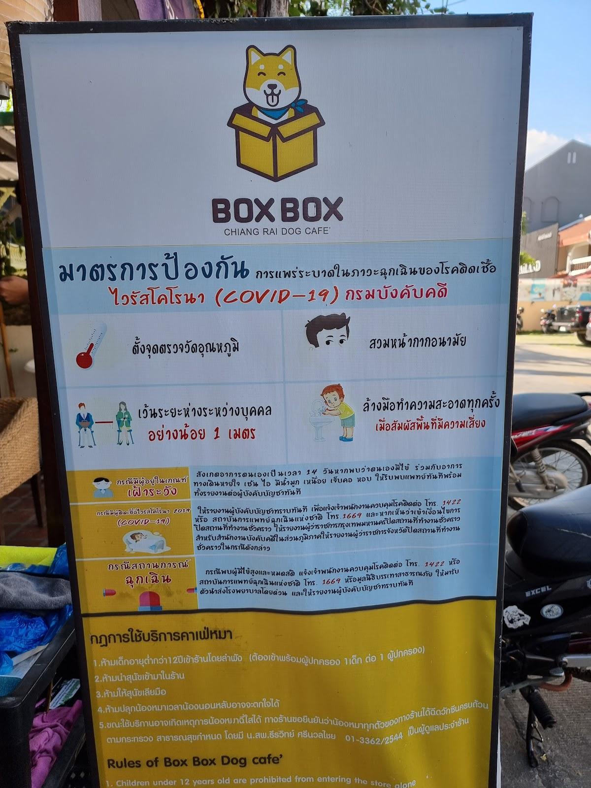 Box Box Dog Cafe คาเฟ่น้องหมา เชียงใหม่, Chiang Mai, 239 - Restaurant ...