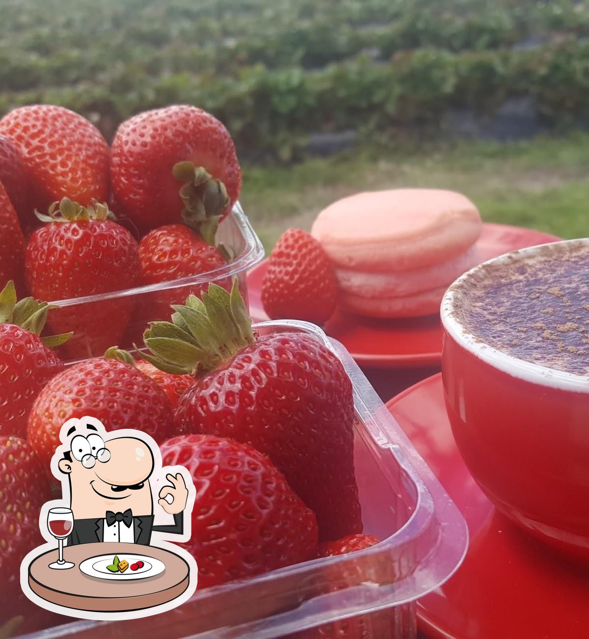 Berry World PYO Strawberries and Berry Good Thai Restaurant in Timboon ...