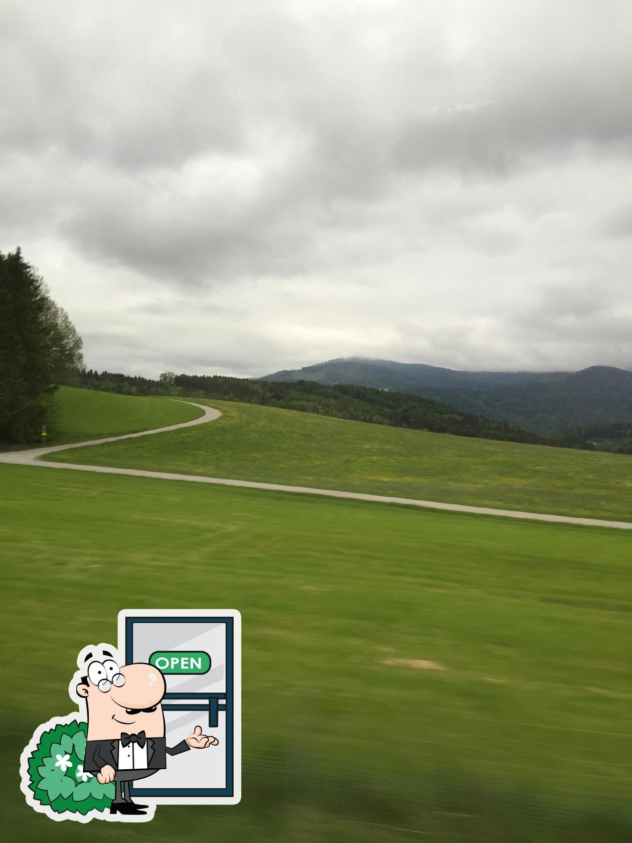 Il Porcino, Siegsdorf - Speisekarte, Preise und Bewertungen