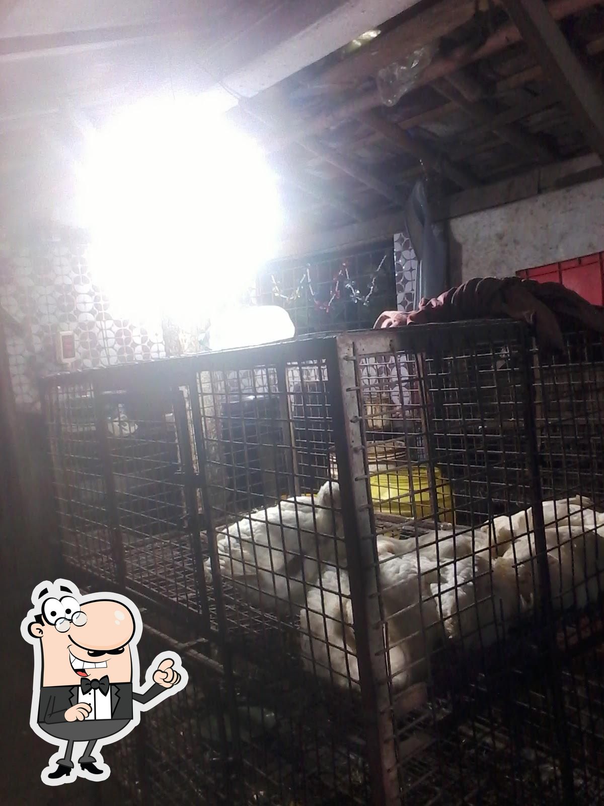 Fresh Chicken Center, Hooghly