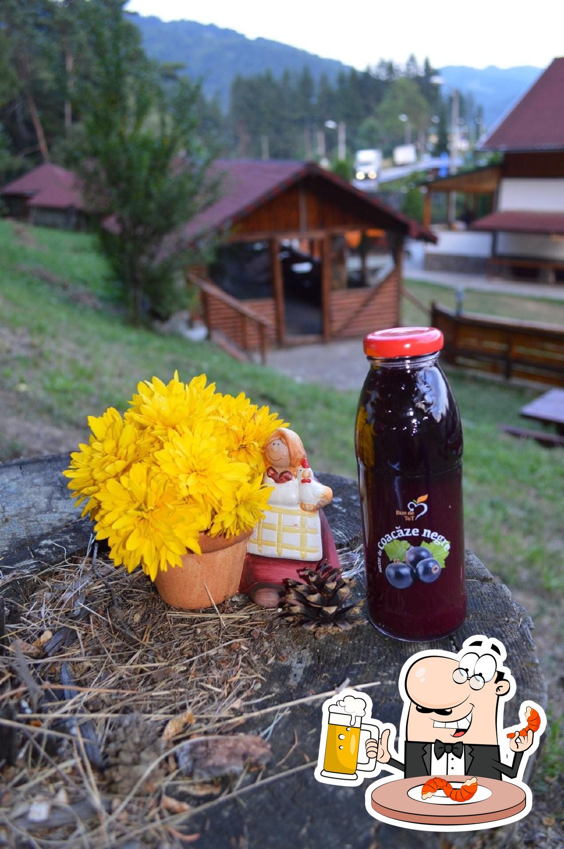 Hanul Românesc, Săcele - Restaurant reviews