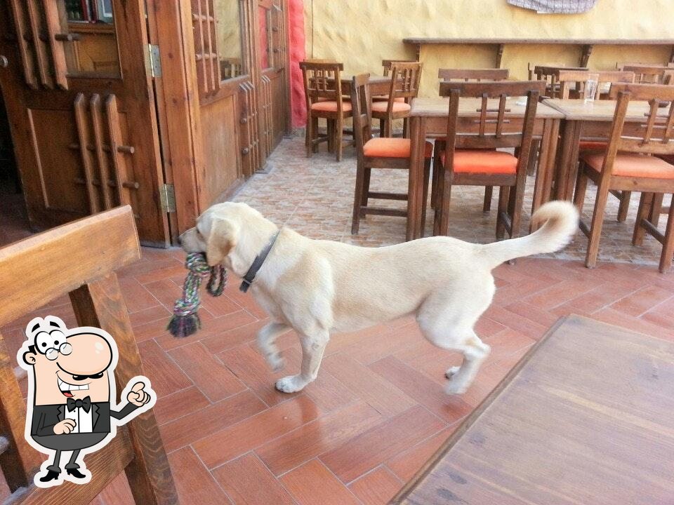Retro Pub & Restaurant, Hurghada - Restaurant reviews