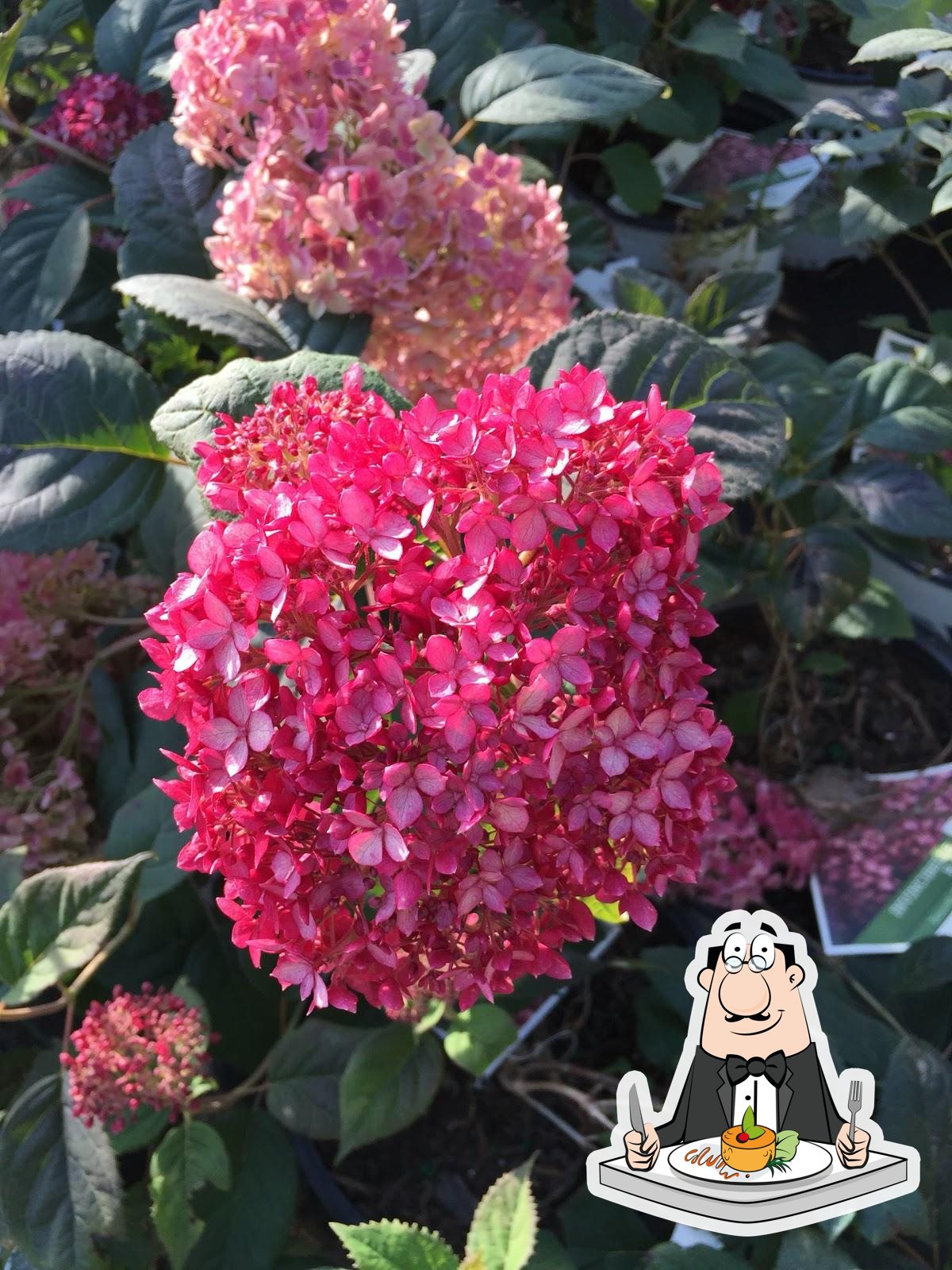 Gee Farms Nursery & Greenhouse in США - Restaurant reviews