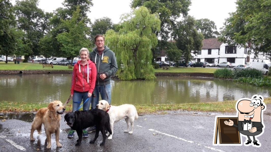 The Green Rooms of Godstone in Godstone - Restaurant reviews