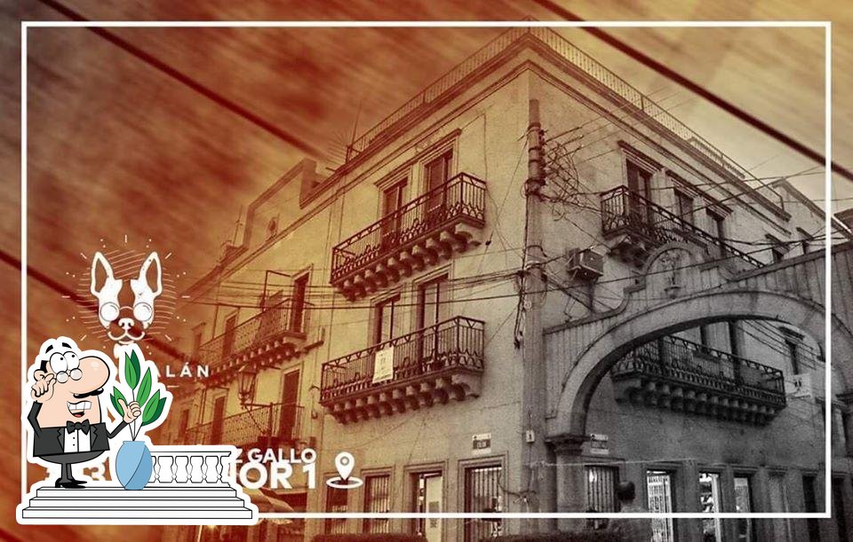 Perro Galán restaurant, San Miguel el Alto - Restaurant reviews