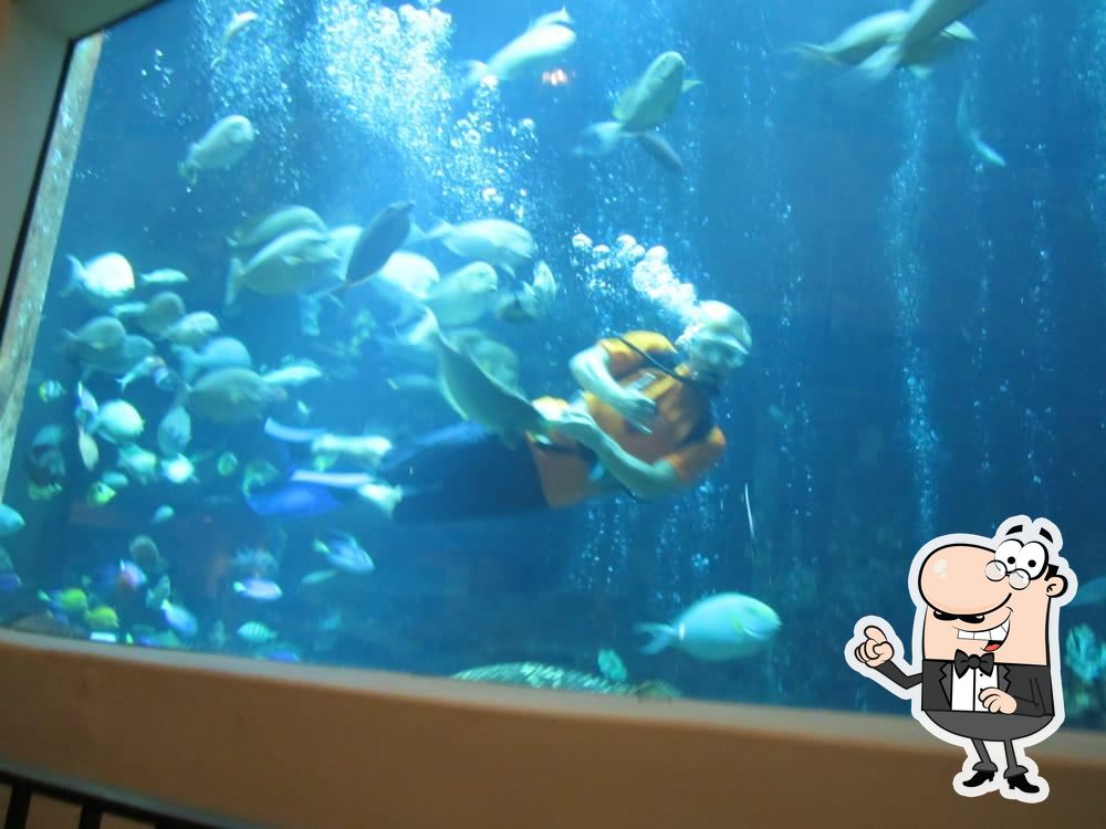 Oceanarium Restaurant, Honolulu - Restaurant menu, prices and reviews