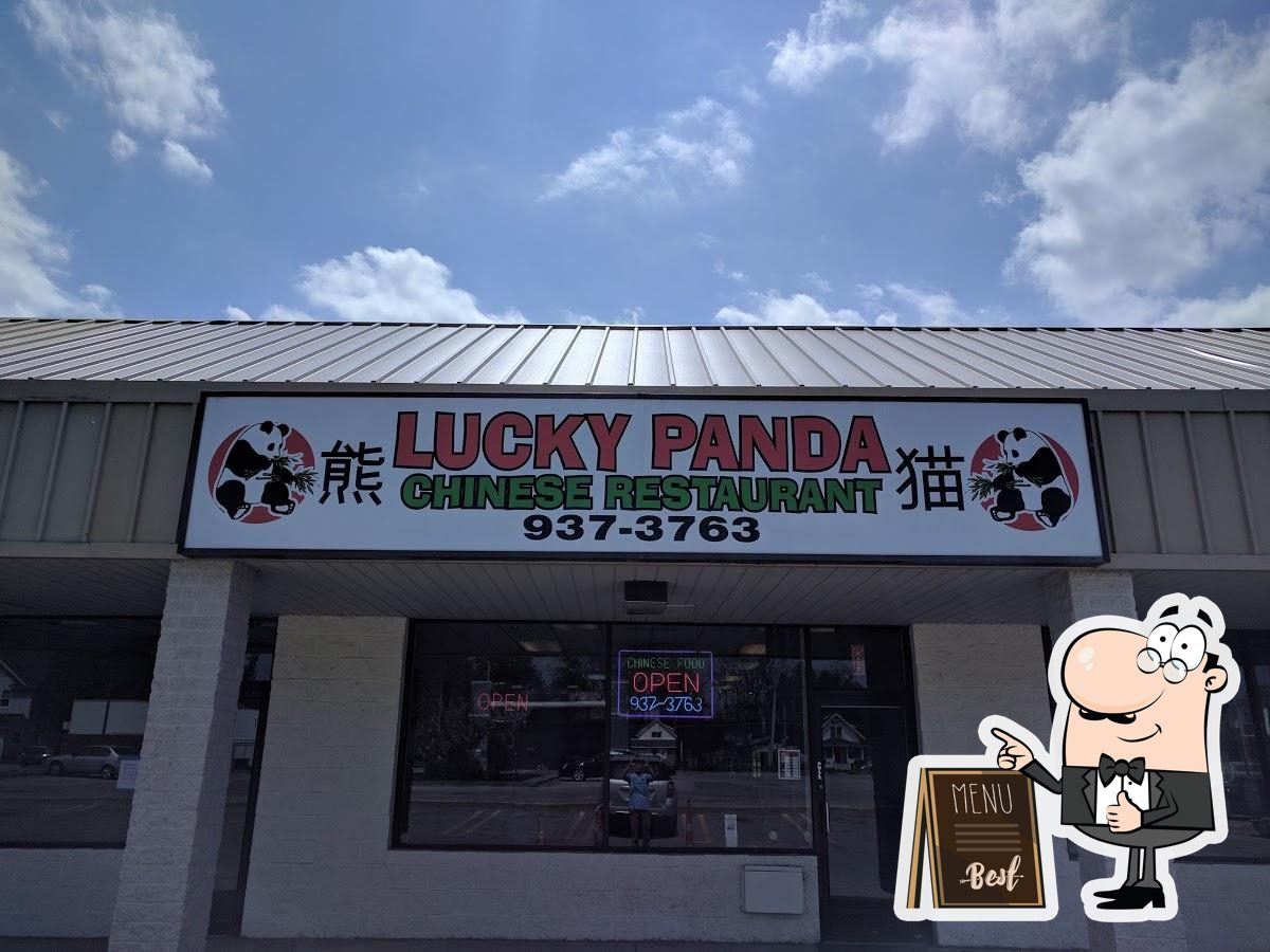 Lucky Panda Chinese Restaurant, Alden - Restaurant menu, prices and reviews