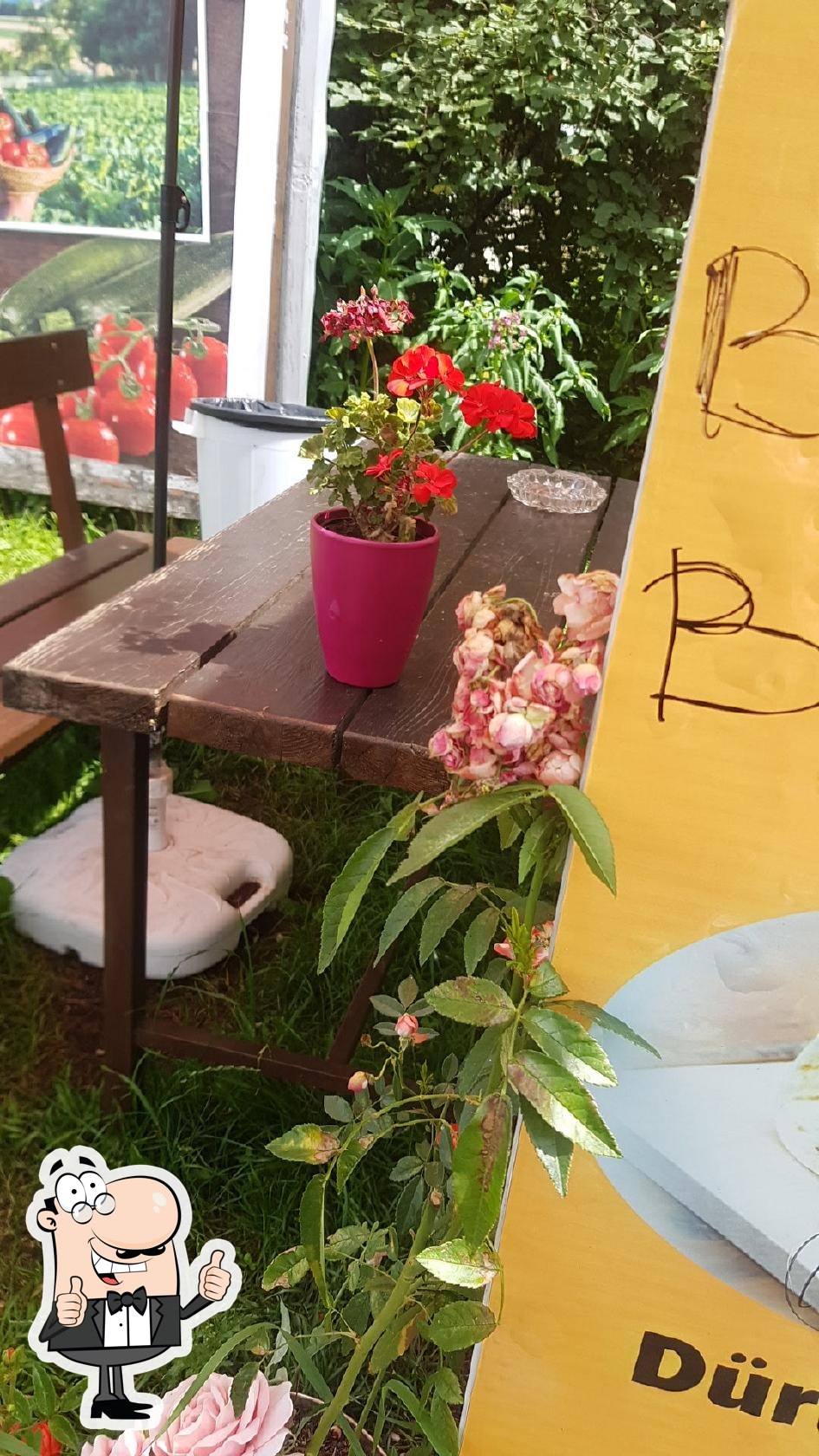 Boxy fresh didem, Trieben - Restaurant menu, prices and reviews