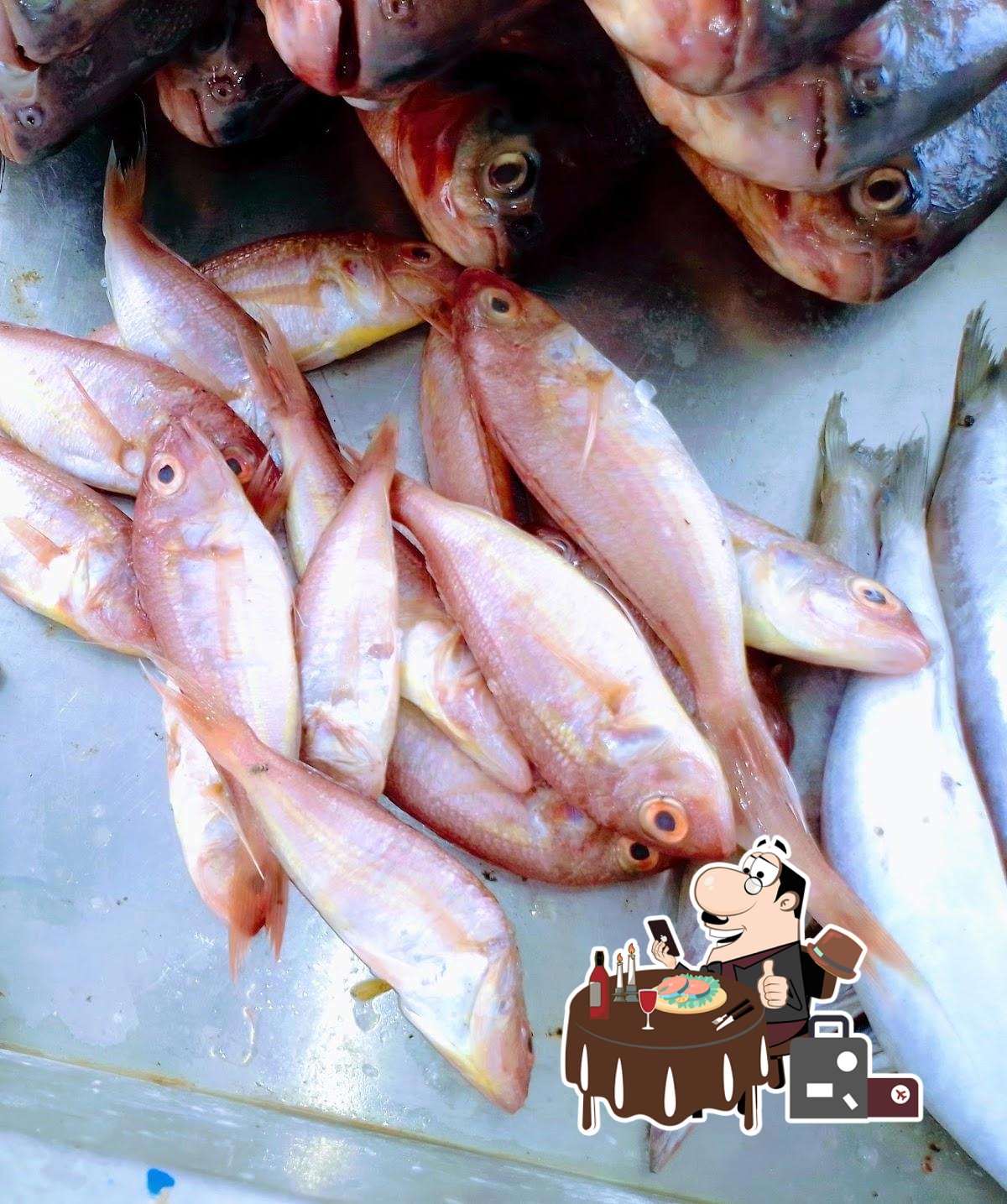 Jose Thoothukudi Sea Fish Market, Coimbatore - Restaurant reviews