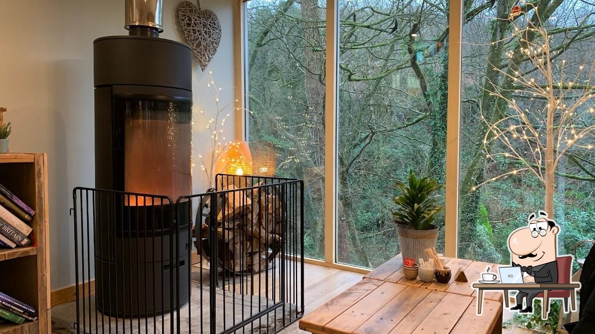Tree of Life Cafe in Tintagel - Restaurant reviews