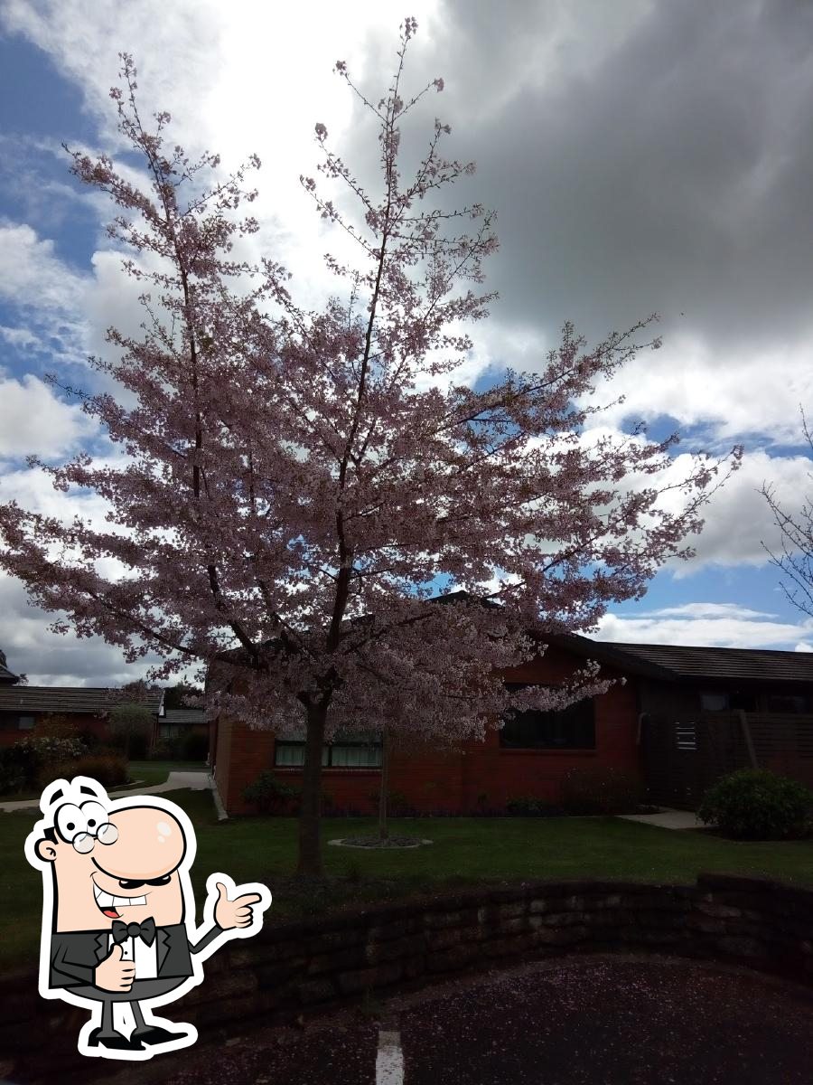 Cherry Blossom Cafe, Eventide, in Tamahere - Restaurant reviews
