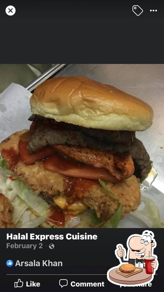 Halal Express Cuisine in Oakbrook Terrace - Restaurant menu and reviews