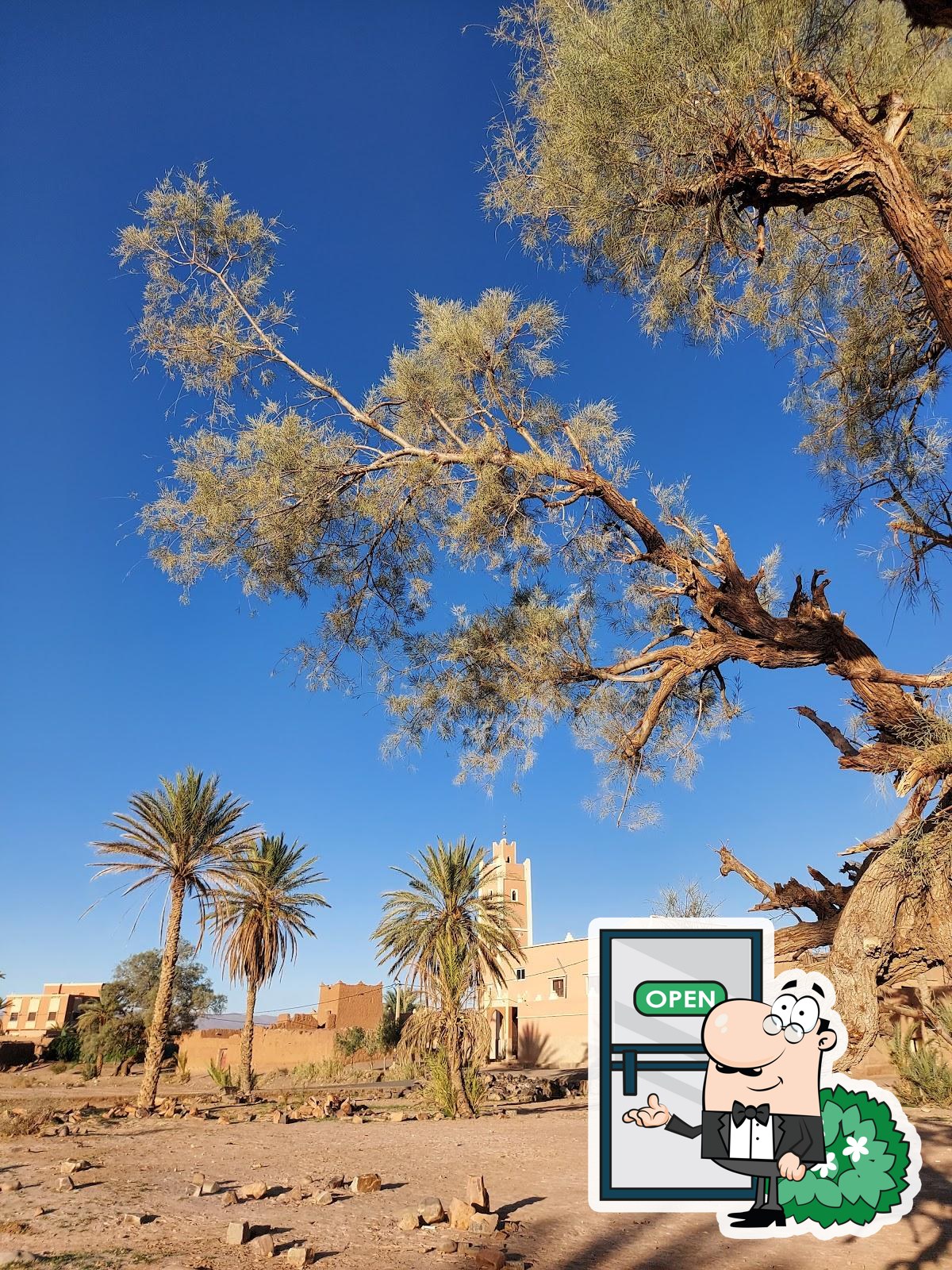 Desert Agafa Luxury Camp and Restaurant, Marokko - Restaurant reviews